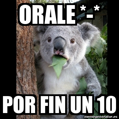 Meme Koala - ORALE *-* Por fin un 10 - 32256431