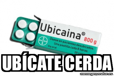 Meme Personalizado - UBÍCATE CERDA - 32259460