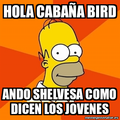 Meme Homer - hola cabaña bird ando shelvesa como dicen los jovenes ...