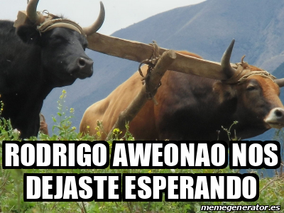 Meme Personalizado - Rodrigo aweonao nos dejaste esperando - 32269589