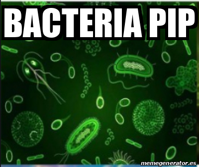 Meme Personalizado - BACTERIA PIP - 32273178
