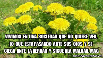 Meme Personalizado - VIVIMOS EN UNA SOCIEDAD QUE NO QUIERE VER, LO QUE ...