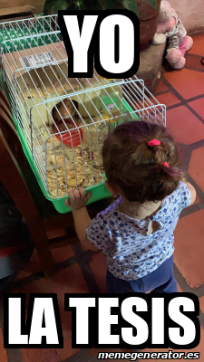 Meme Personalizado - YO LA TESIS - 32273762