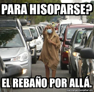 Meme Personalizado - Para hisoparse? El rebaño por allá. - 32275442