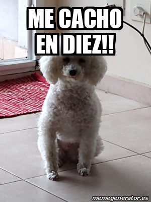 Meme Personalizado - Me cacho en diez!! - 32275482