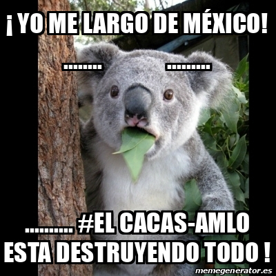 Meme Koala - ¡ yo me largo de méxico! ........ ......... .......... #el ...