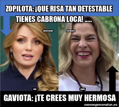 Meme Personalizado - zopilota: ¡que risa tan detestable tienes cabrona ...
