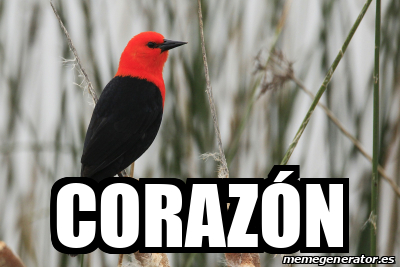 Meme Personalizado - CORAZÓN - 32278583