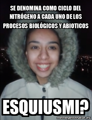 Meme Personalizado - Se denomina como ciclo del nitrógeno a cada uno de ...