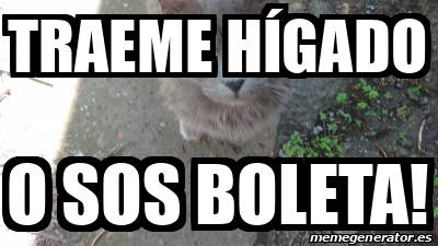 Meme Personalizado - Traeme hígado O sos boleta! - 32282208