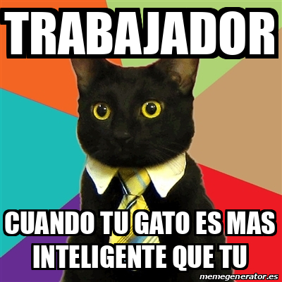 Meme Business Cat - trabajador cuando tu gato es mas inteligente que tu ...
