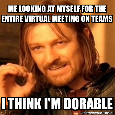 Meme Boromir - Me looking at myself for the entire virtual meeting on ...