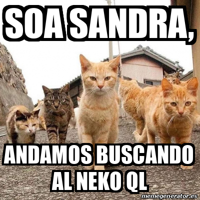 Meme Personalizado - Soa Sandra, andamos buscando al neko ql - 32286369
