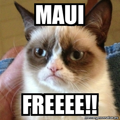 Meme Grumpy Cat - MAUI FREEEE!! - 32295316
