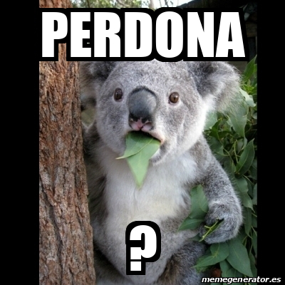 Meme Koala - PERDONA ? - 32031579
