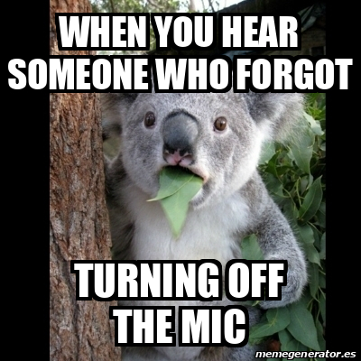Meme Koala - When you hear someone who forgot TURNING off the mic ...