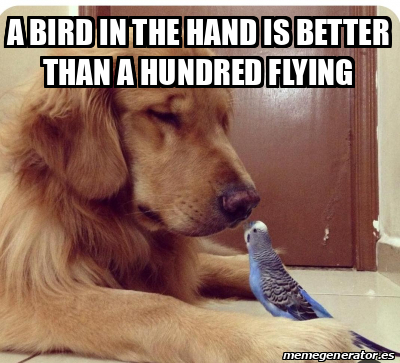 Meme Personalizado - a bird in the hand is better than a hundred flying ...