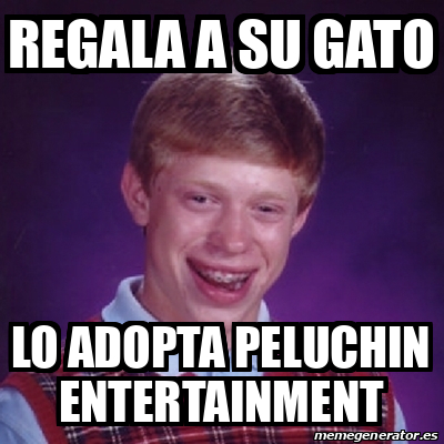 Meme Bad Luck Brian - Regala a su gato Lo adopta Peluchin entertainment ...