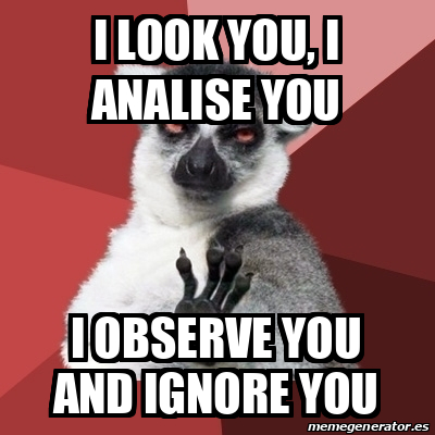 Meme Chill Out Lemur - I look you, i analise you i observe you and ...