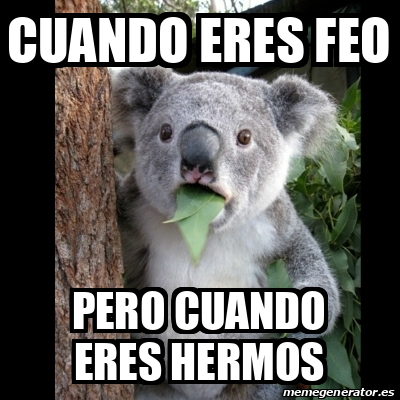 Meme Koala - CUANDO ERES FEO PERO CUANDO ERES HERMOS - 32038283