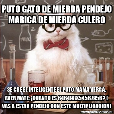 Meme Chemistry Cat - Puto Gato de mierda pendejo marica de mierda culero se cre el inteligente ...