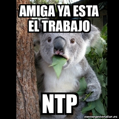Meme Koala - Amiga ya esta el trabajo ntp - 32304528