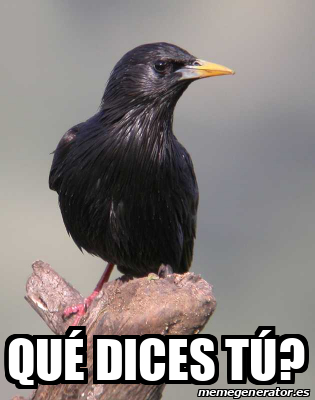 Meme Personalizado - Qué dices tú? - 32306791