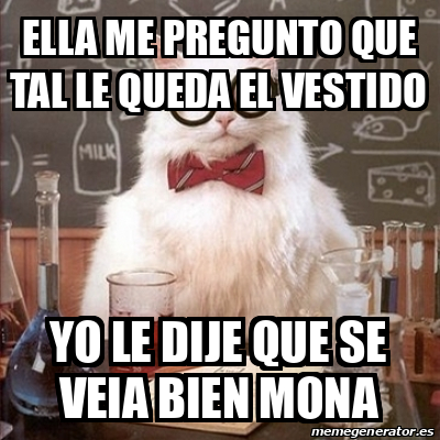Meme Chemistry Cat - ELLA ME PREGUNTO QUE TAL LE QUEDA EL VESTIDO YO LE ...