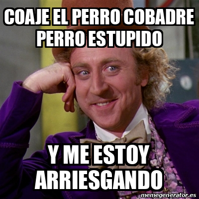 Meme Willy Wonka - coaje el perro cobadre perro estupido Y me estoy ...