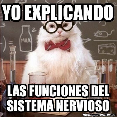 Meme Chemistry Cat - yo explicando las funciones del sistema nervioso ...