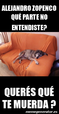Meme Personalizado - Alejandro zopenco qué parte no entendiste? Querés ...