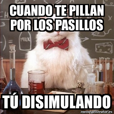 Meme Chemistry Cat - cuando te pillan por los pasillos tú disimulando ...