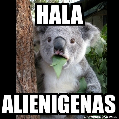 Meme Koala - hala alienigenas - 32313767
