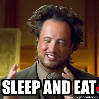 Meme Ancient Aliens - sleep and eat - 32317788