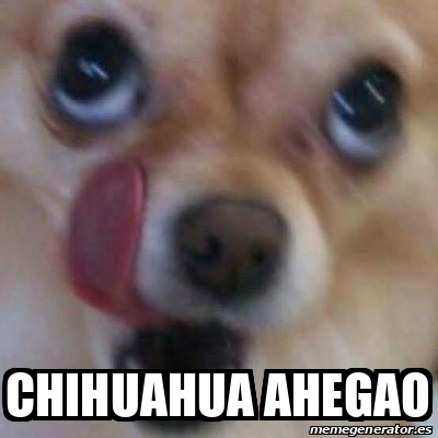 Meme Personalizado - chihuahua ahegao - 32319325