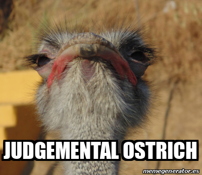 Meme Personalizado - judgemental ostrich - 32320183