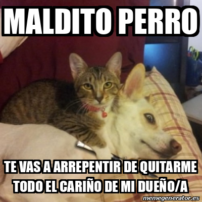 Meme Personalizado - maldito perro te vas a arrepentir de quitarme todo ...