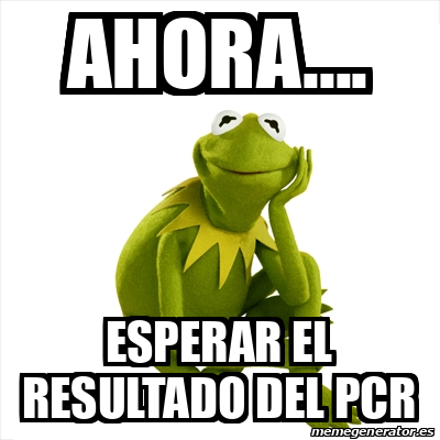 Meme Kermit the frog - ahora.... esperar el resultado del pcr - 32320812