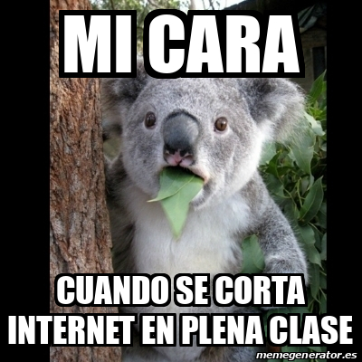 Meme Koala - Mi Cara cuando se corta internet en plena clase - 32321505