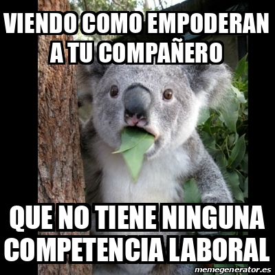 Meme Koala - Viendo como empoderan a tu compañero que no tiene ninguna ...