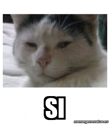Meme Personalizado - si - 32323275