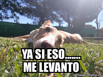 Meme Personalizado - Ya si eso....... me levanto - 32329113