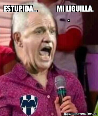 Meme Personalizado - Estupida... Mi liguilla. . - 32329803