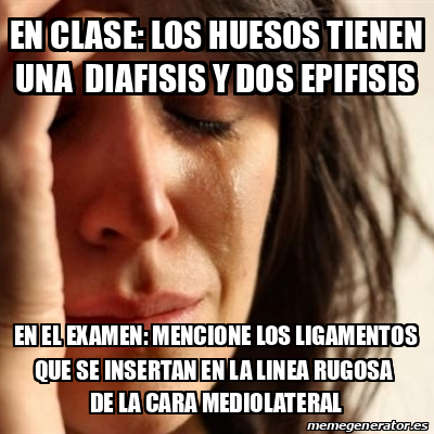 Meme Problems - EN CLASE: LOS HUESOS TIENEN UNA DIAFISIS Y DOS EPIFISIS ...