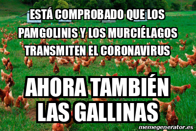 Meme Personalizado - ESTÁ COMPROBADO QUE LOS PAMGOLINIS Y LOS ...