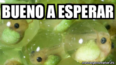 Meme Personalizado - Bueno a esperar - 32331267