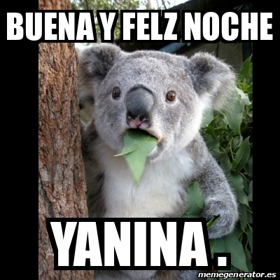 Meme Koala - buena y felz noche yanina . - 32335397