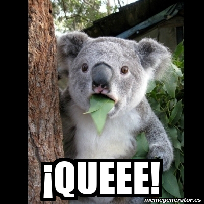 Meme Koala - ¡QuEEE! - 32337070