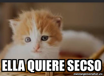 Meme Personalizado - Ella quiere secso - 32342890