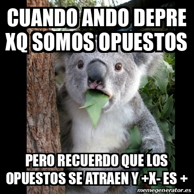 Meme Koala - CUANDO ANDO DEPRE XQ SOMOS OPUESTOS pERO RECUERDO QUE LOS ...